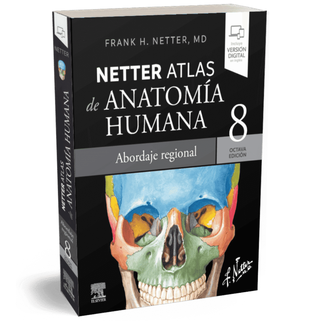 NETTER ATLAS DE ANATOMIA HUMANA ABORDAJE REGIONAL 8ED - TuLibroGT